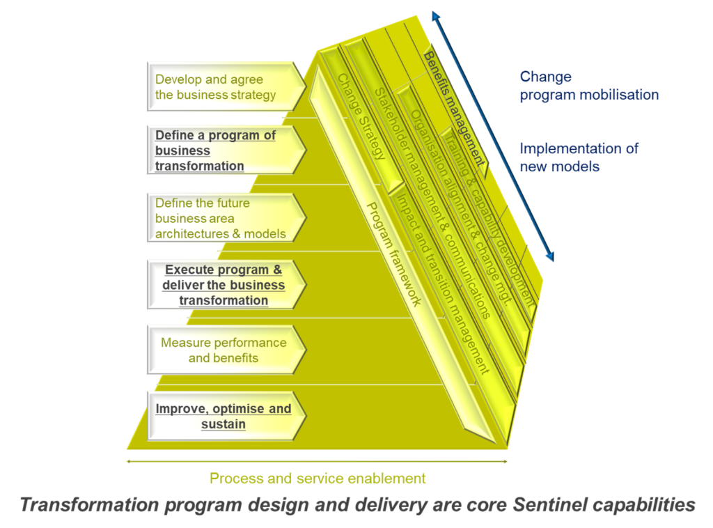 Managing Business Change - Sentinel Software Systems Ltd